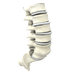Fusion Surgical Procedure